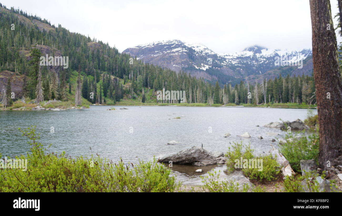 Hiking in Washington State, the Great Pacific Northwest Stock Photo - Alamy