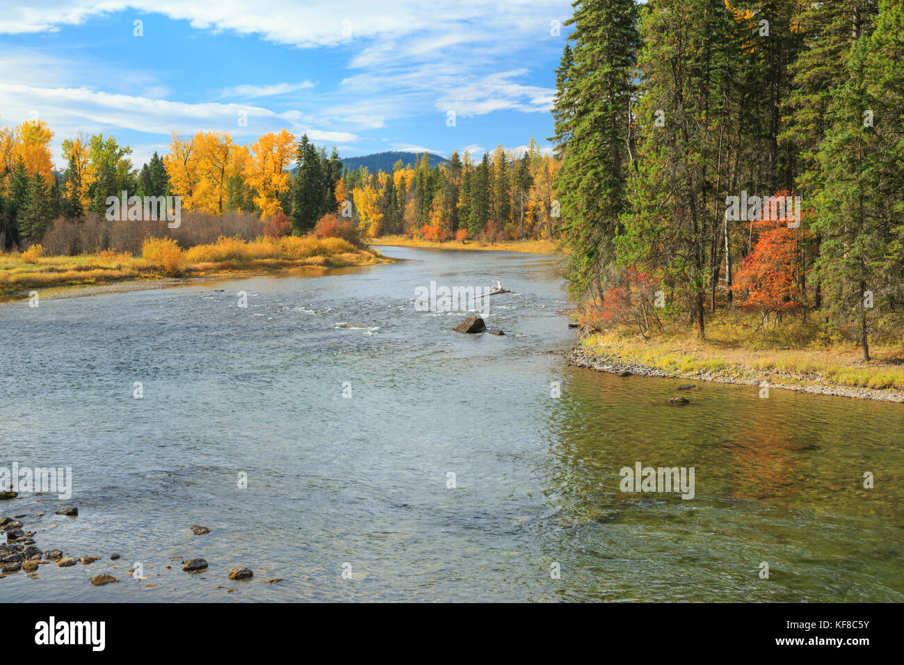 fall colors along the swan river near ferndale, montana Stock Photo - Alamy
