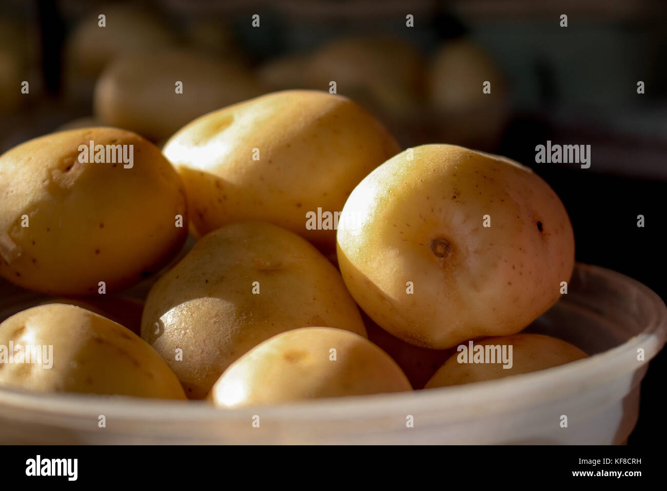 © Sundry Scene Studios, Roxanne M. Duff | http://sundryscenestudios.com ...