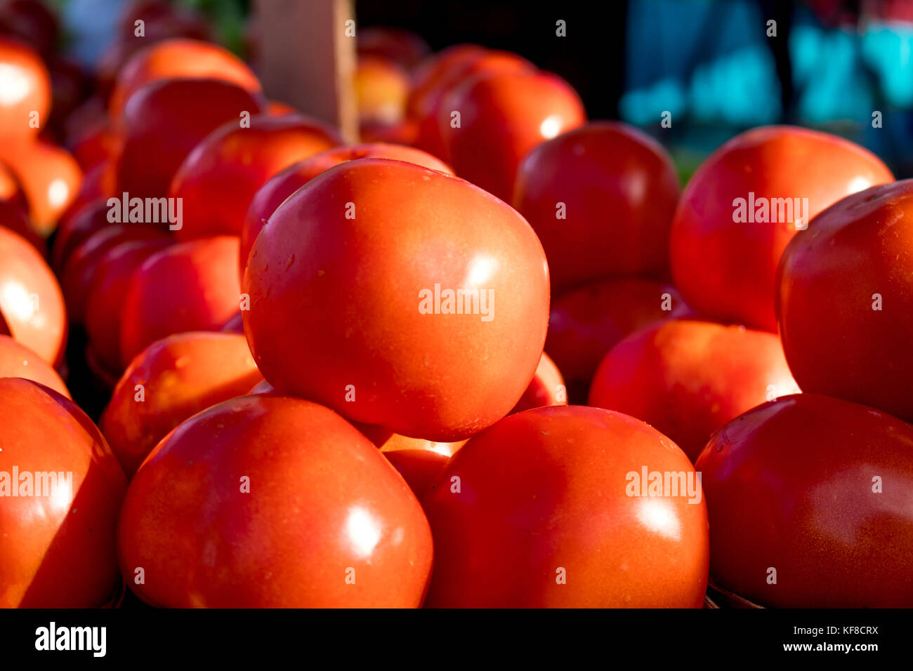 © Sundry Scene Studios, Roxanne M. Duff | http://sundryscenestudios.com ...