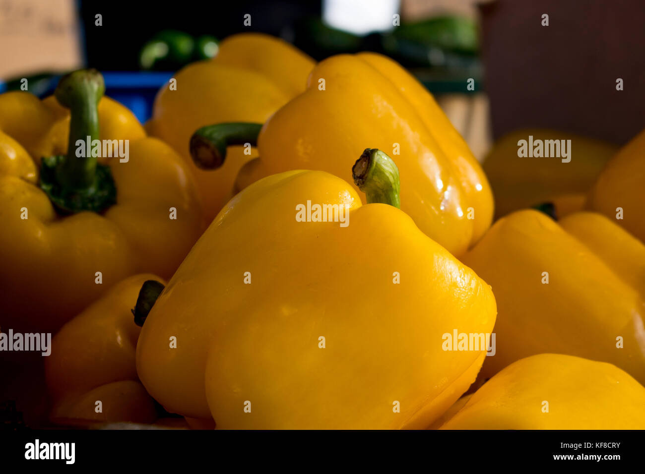 © Sundry Scene Studios, Roxanne M. Duff | http://sundryscenestudios.com ...