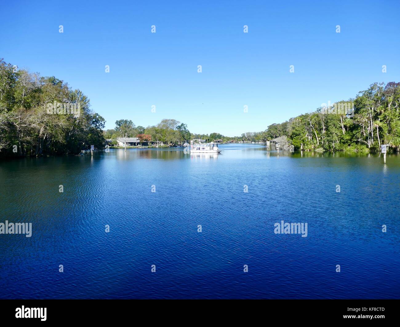 Homosassa River Water High Resolution Stock Photography and Images - Alamy
