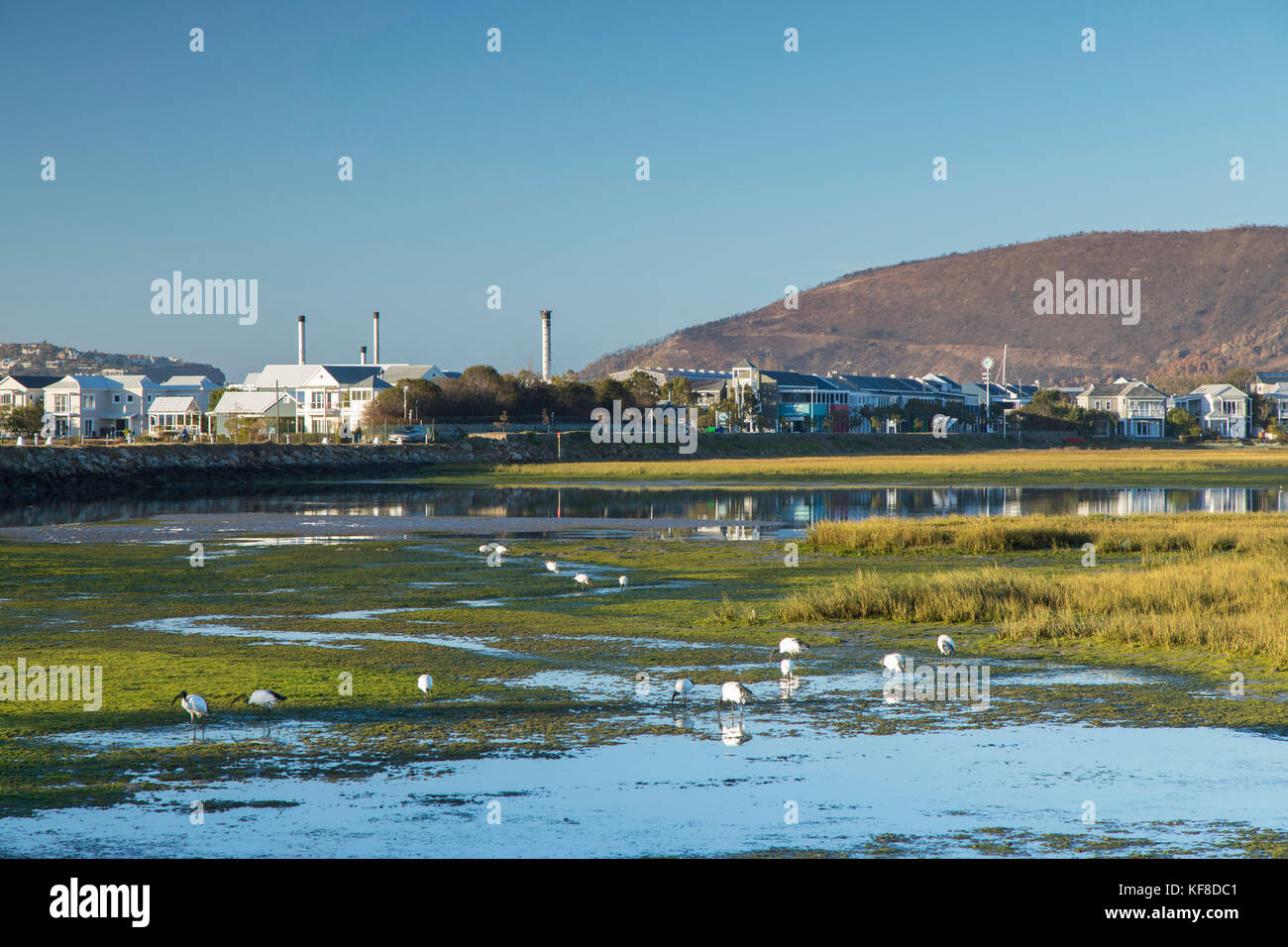 Houses on Thesen Island, Knysna, Western Cape, South Africa Stock Photo ...