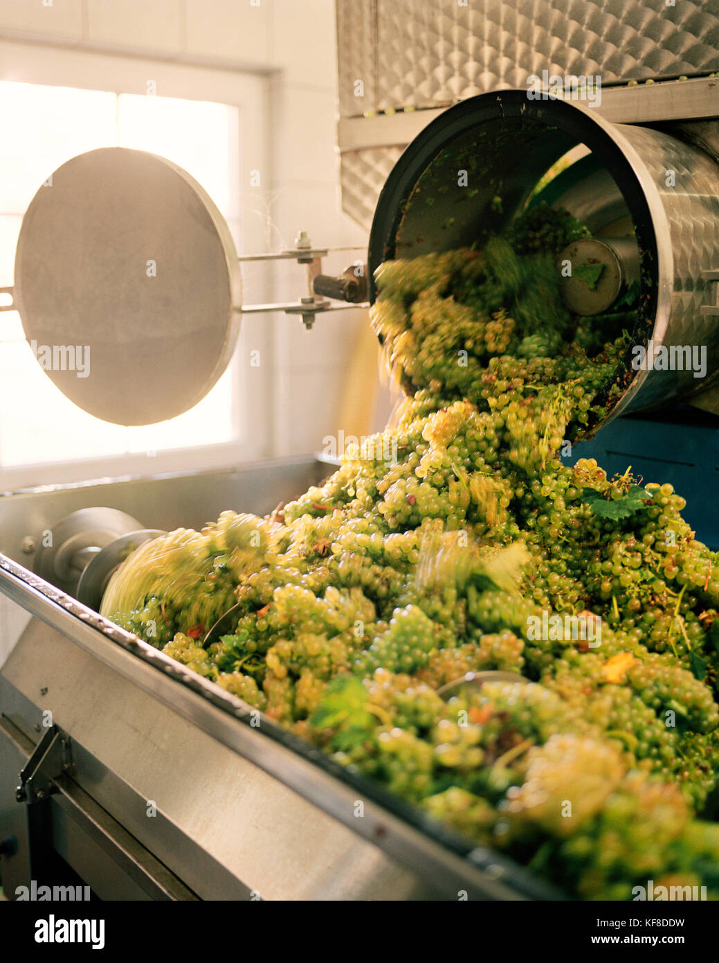 Morbisch High Resolution Stock Photography and Images - Alamy