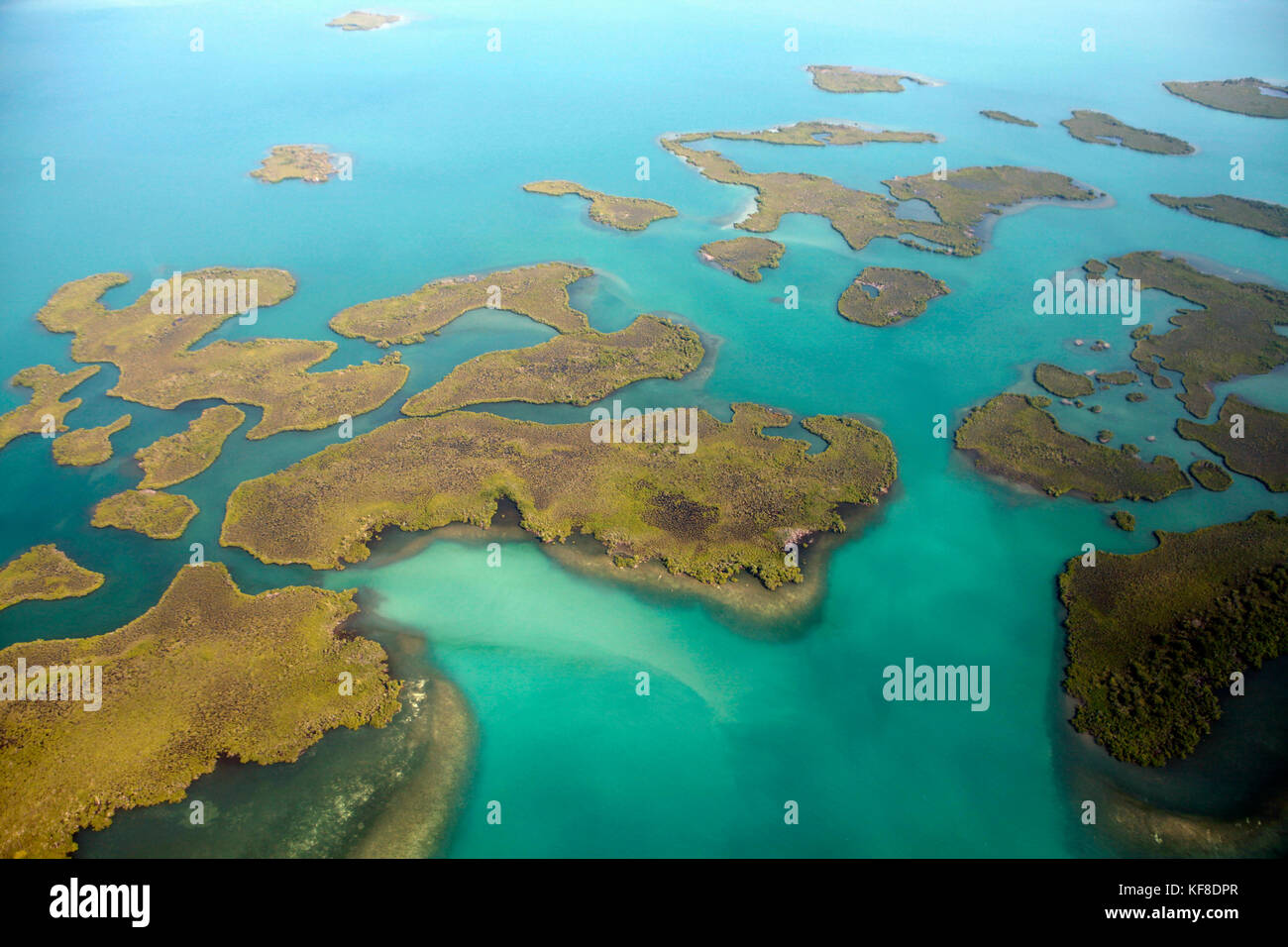 BELIZE, aerial view of the coast and mangroves near Punta Gorda Stock ...