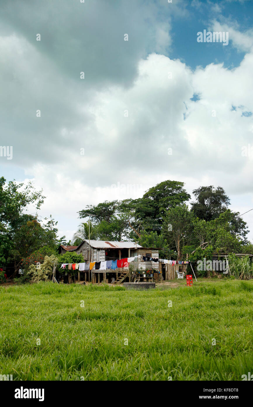 BELIZE, vignette from the drive along the Hummingbird Highway from ...