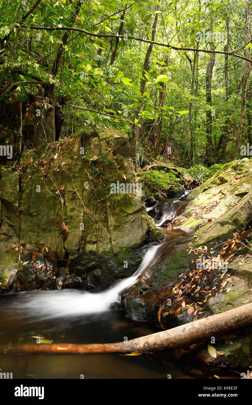 BELIZE, Hopkins, a waterfall and swimming pool at the end of the Ben's ...