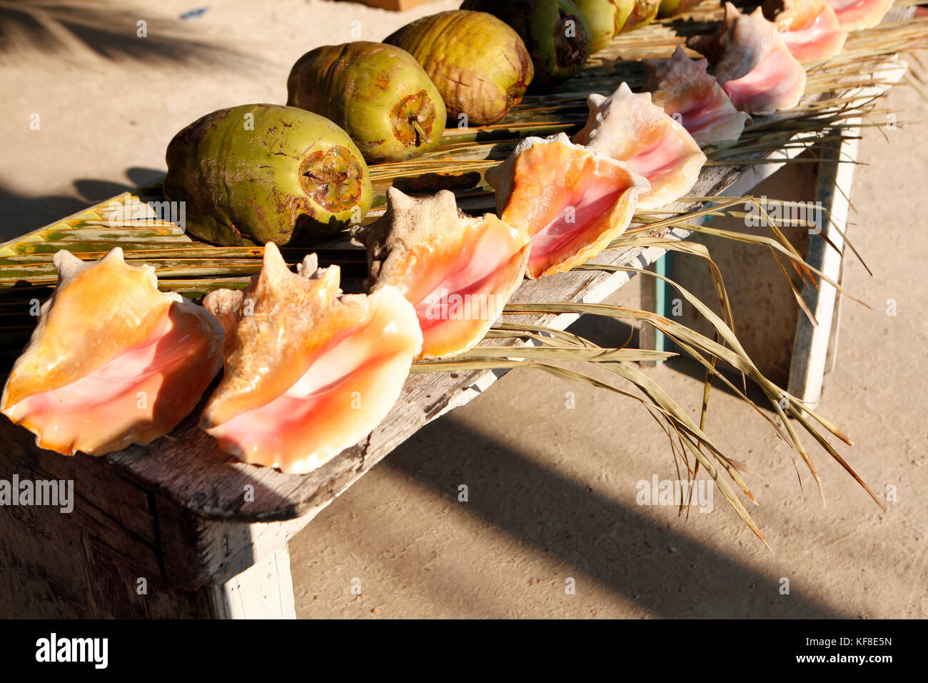 BELIZE, Caye Caulker, coconuts and conch shells for sale on main street ...