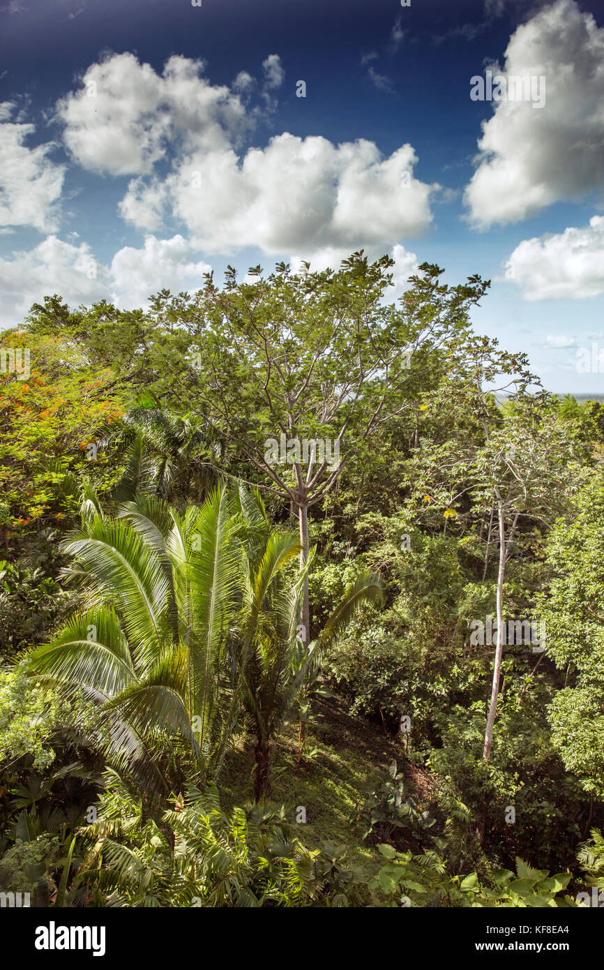 BELIZE, Punta Gorda, Toledo, some of the breathtaking scenery located ...