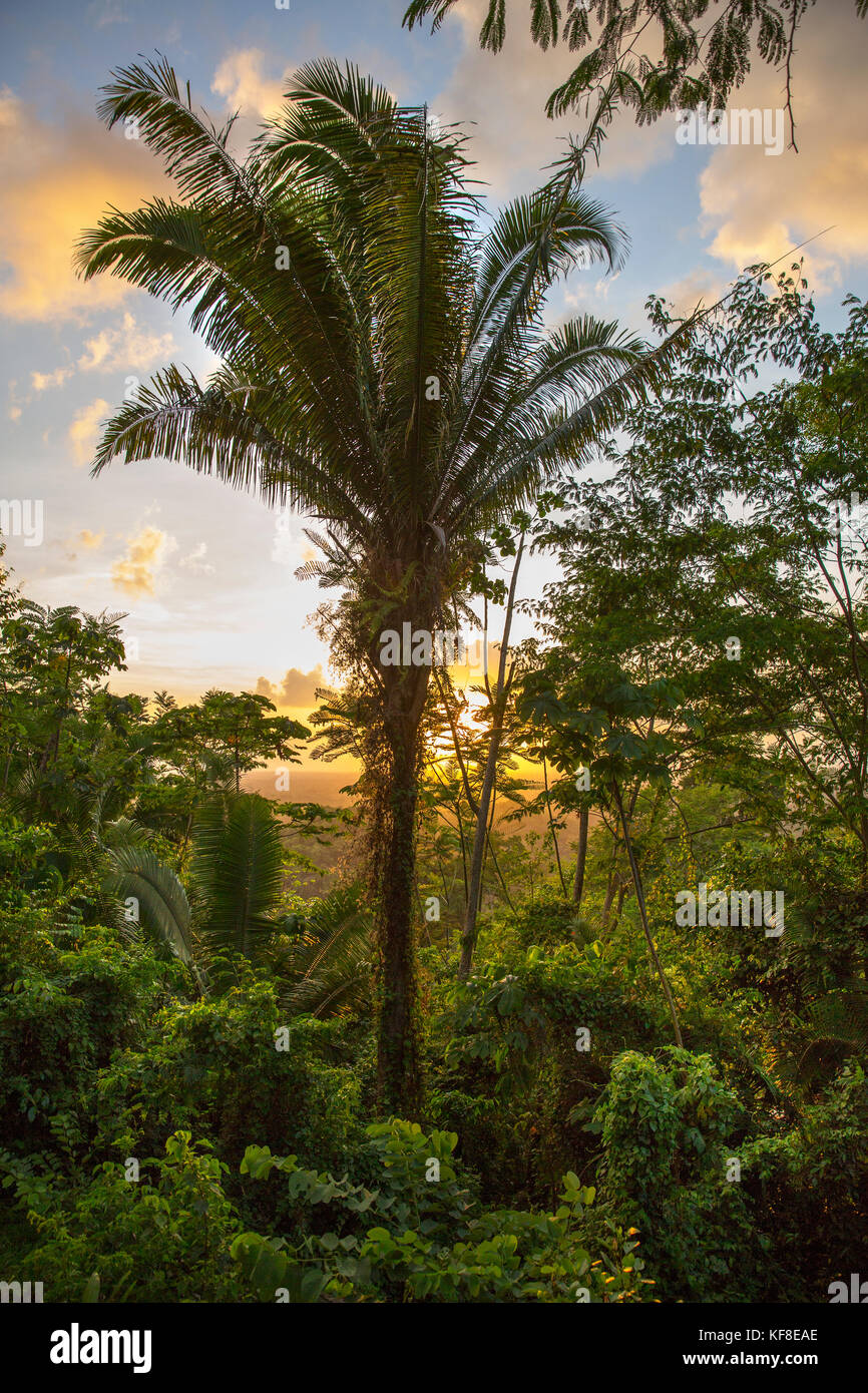 BELIZE, Punta Gorda, Toledo, some of the breathtaking scenery located ...