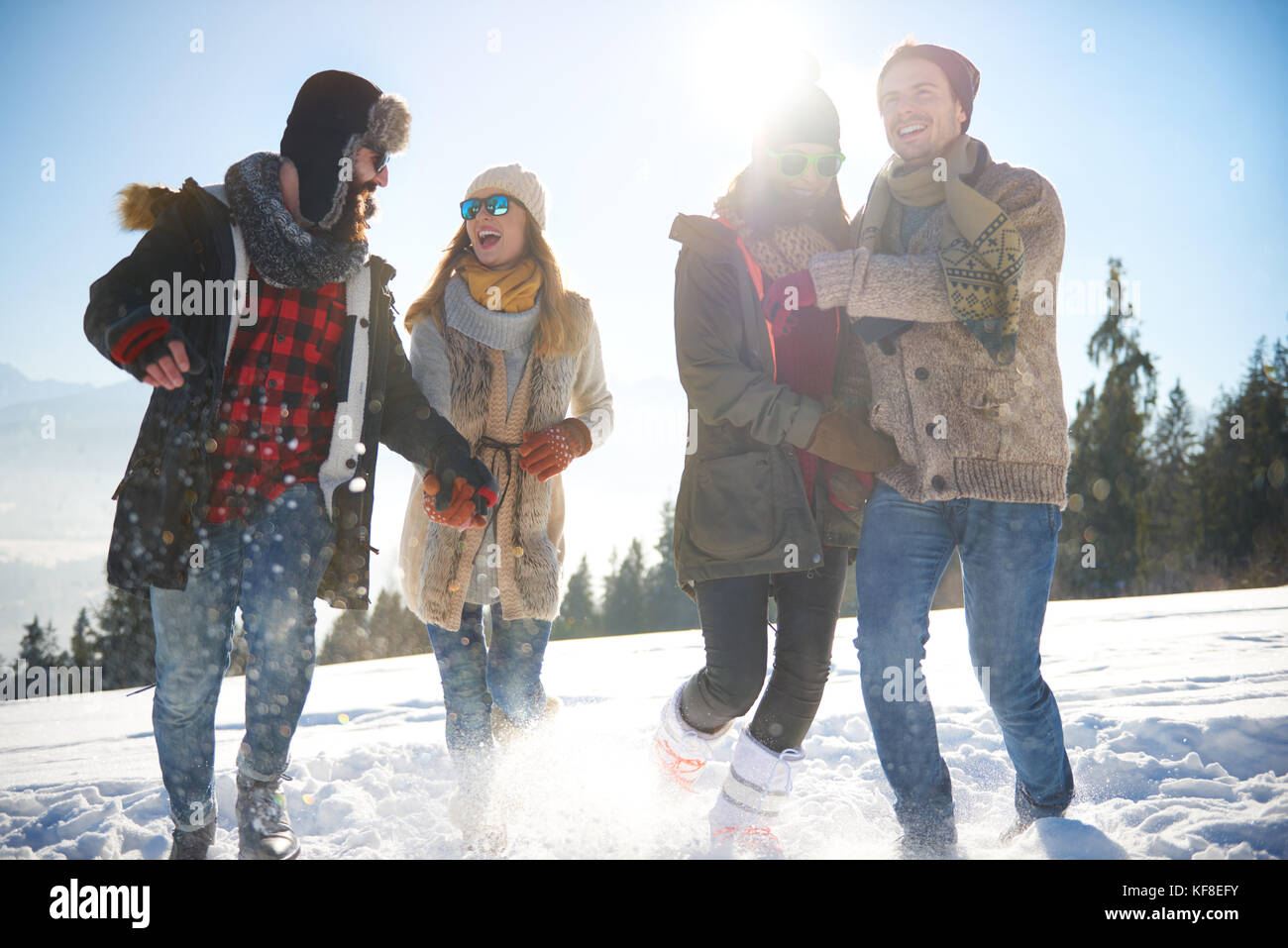 Group of friends during winter vacation Stock Photo - Alamy