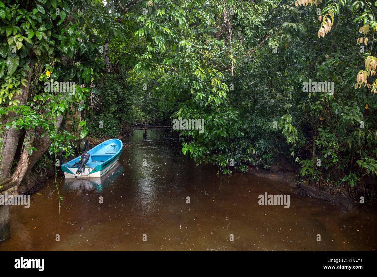 BELIZE, Punta Gorda, Toledo, some of the breathtaking scenery located ...