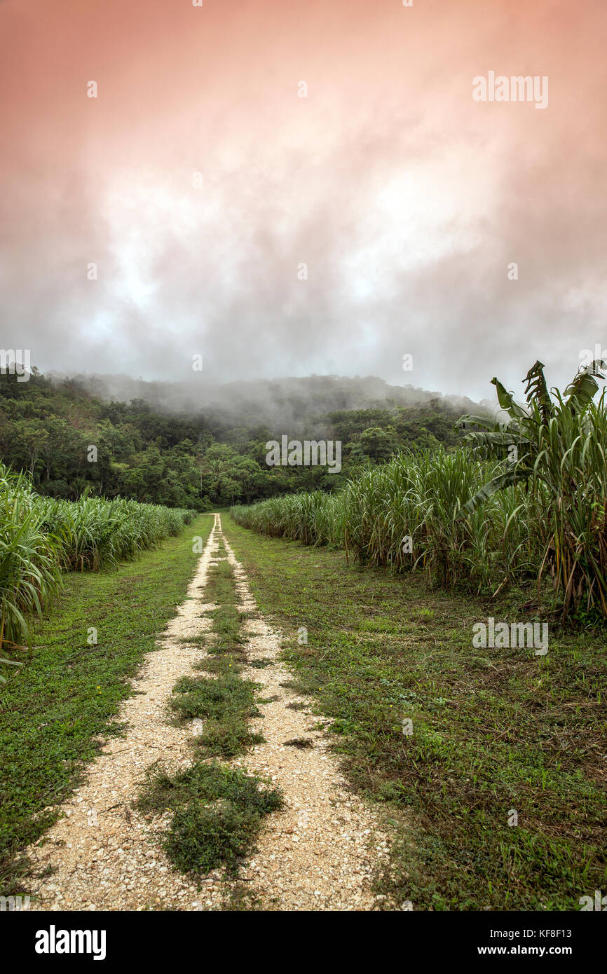 Green hills belize hi-res stock photography and images - Alamy
