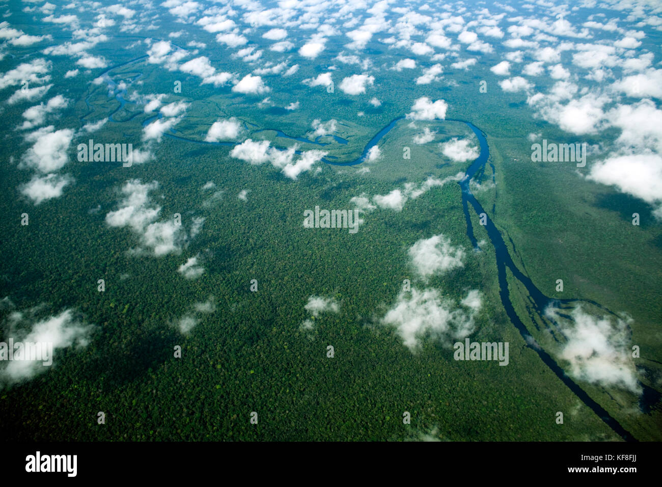 BRAZIL, Amazon Jungle landscape shot from an airplane Stock Photo - Alamy