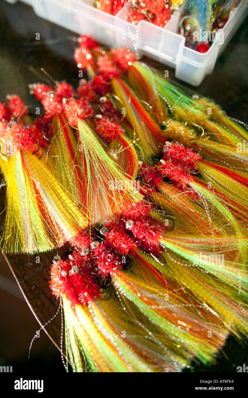 BRAZIL, Agua Boa, fly fishing lures and a fly box, Agua Boa River and ...