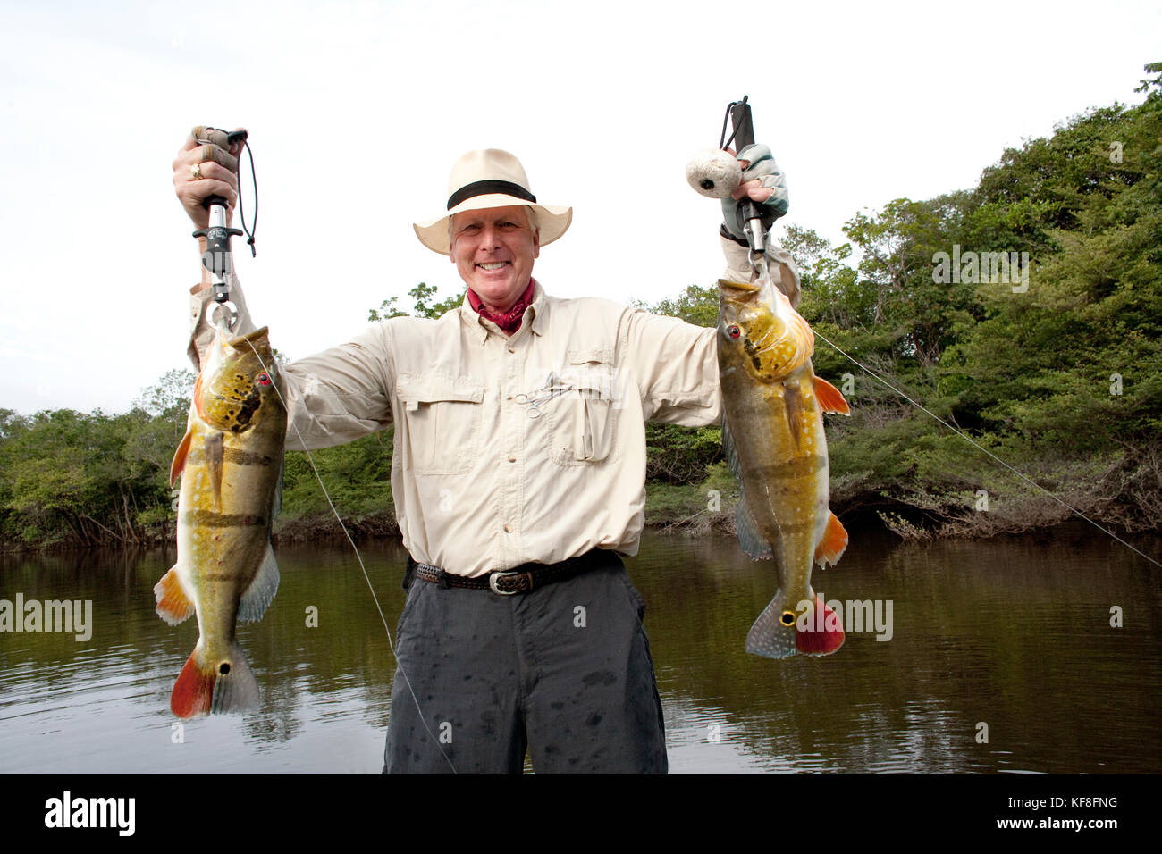 BRAZIL, Agua Boa, fly fisherman holding two Peacock Bass, Agua Boa ...