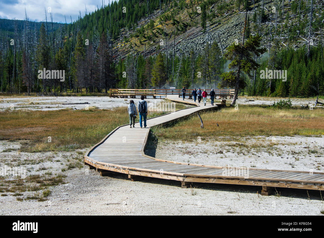 Wooden boardwalk in the Black sand basin, Yellowstone National Park ...