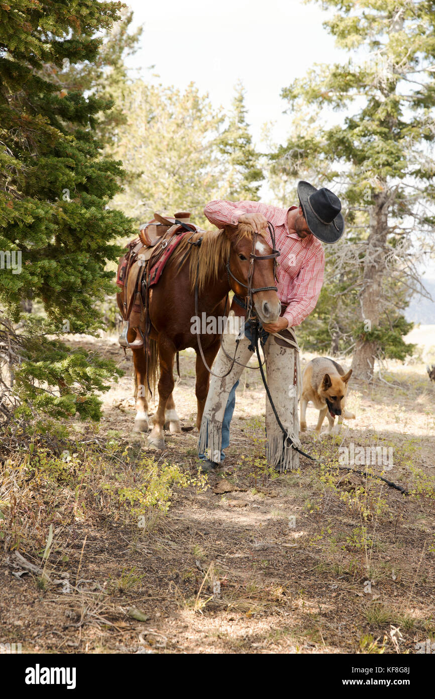 Dog cowboy horse ride hi-res stock photography and images - Alamy