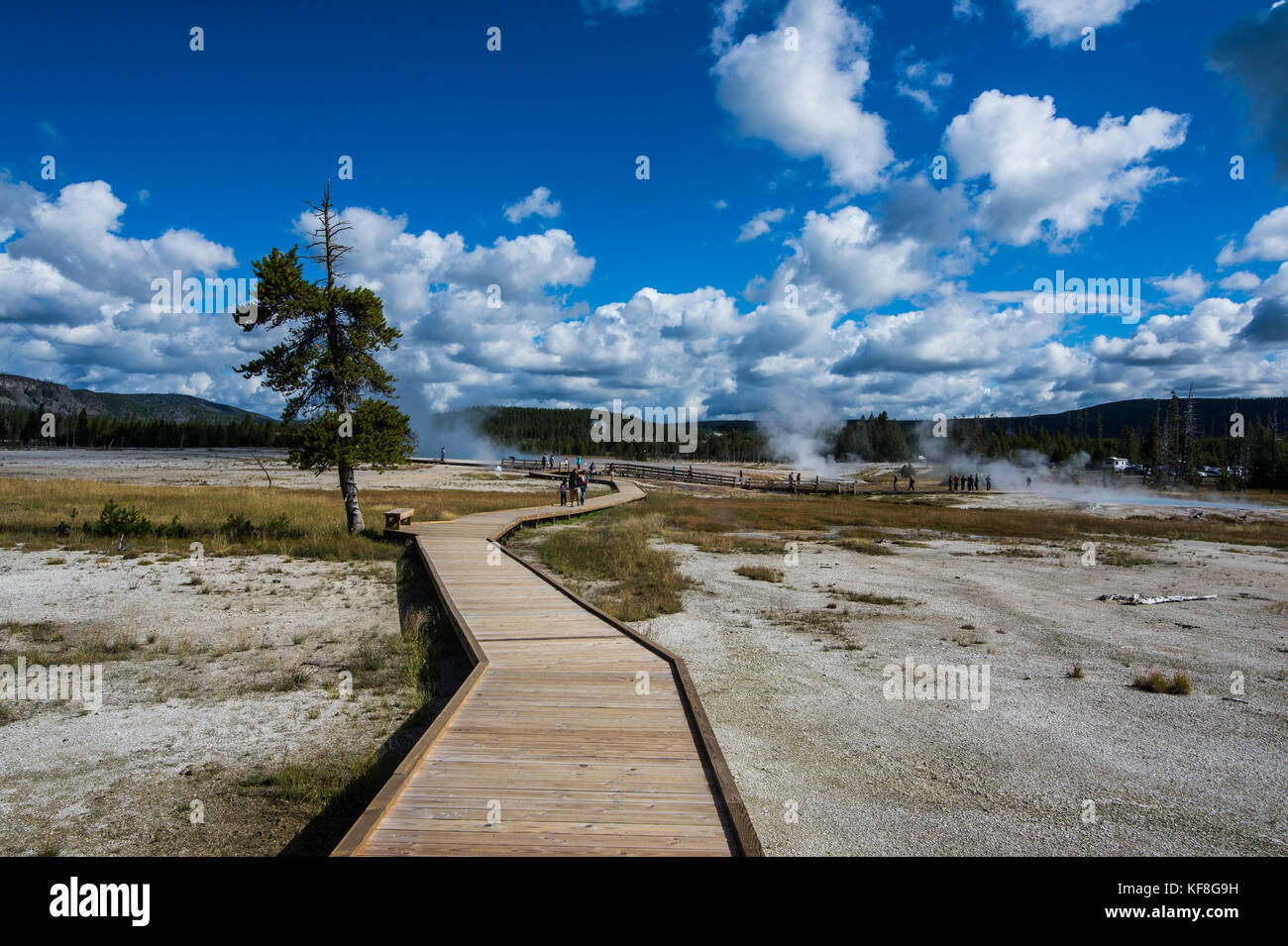 Wooden boardwalk in the Black sand basin, Yellowstone National Park ...