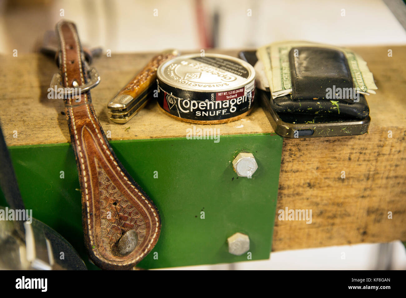 USA, Nevada, Wells, cowboy and wrangler Clay Nannini gives the horses ...