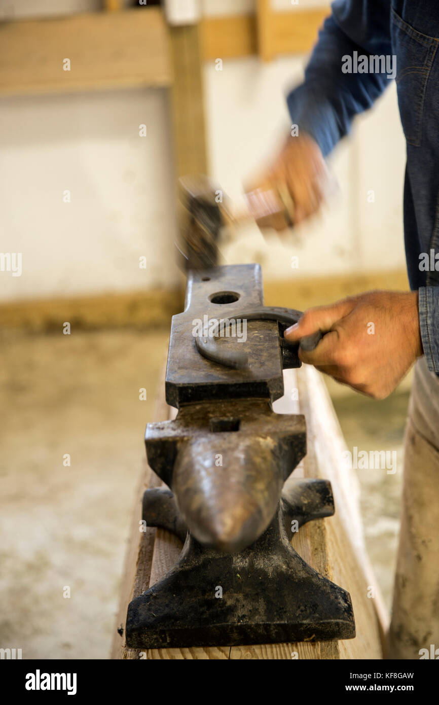 USA, Nevada, Wells, cowboy and wrangler Clay Nannini gives the horses ...