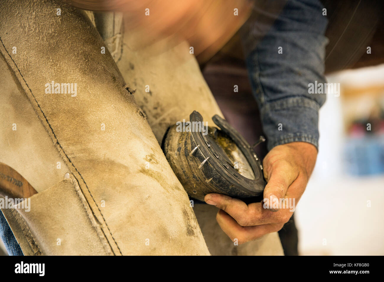 USA, Nevada, Wells, cowboy and wrangler Clay Nannini gives the horses ...