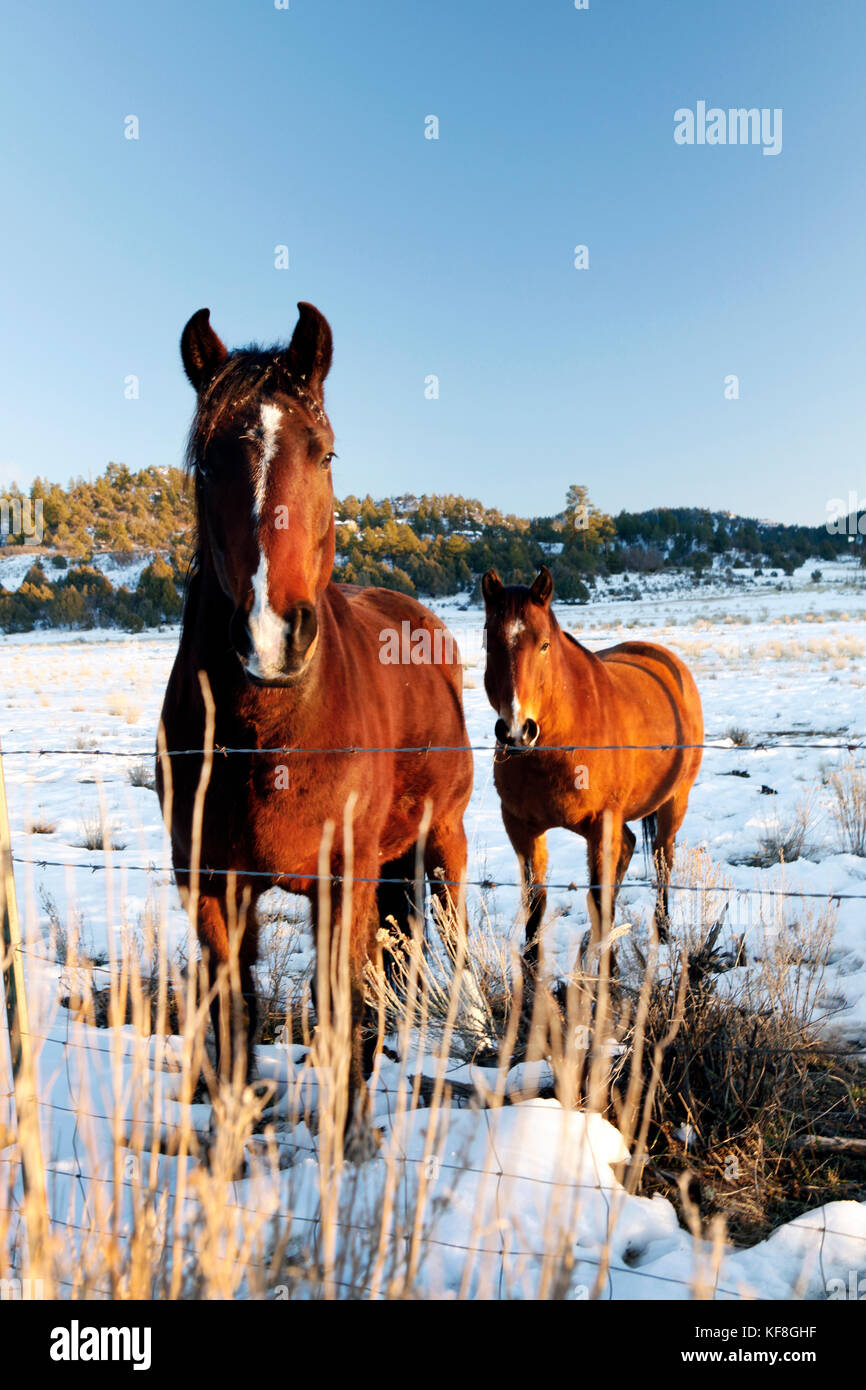 Carson national park hi-res stock photography and images - Alamy