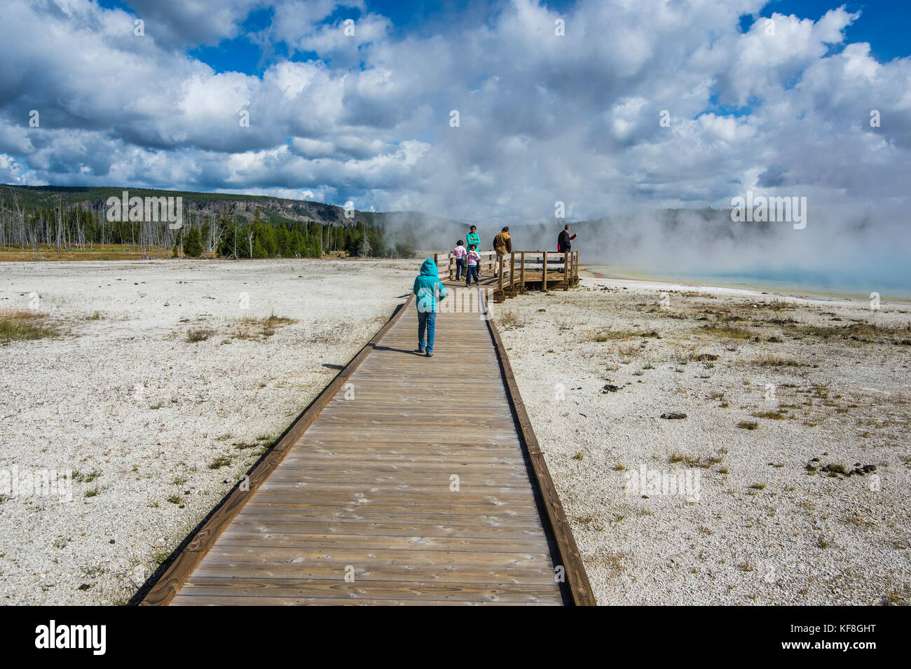 Wooden boardwalk in the Black sand basin, Yellowstone National Park ...