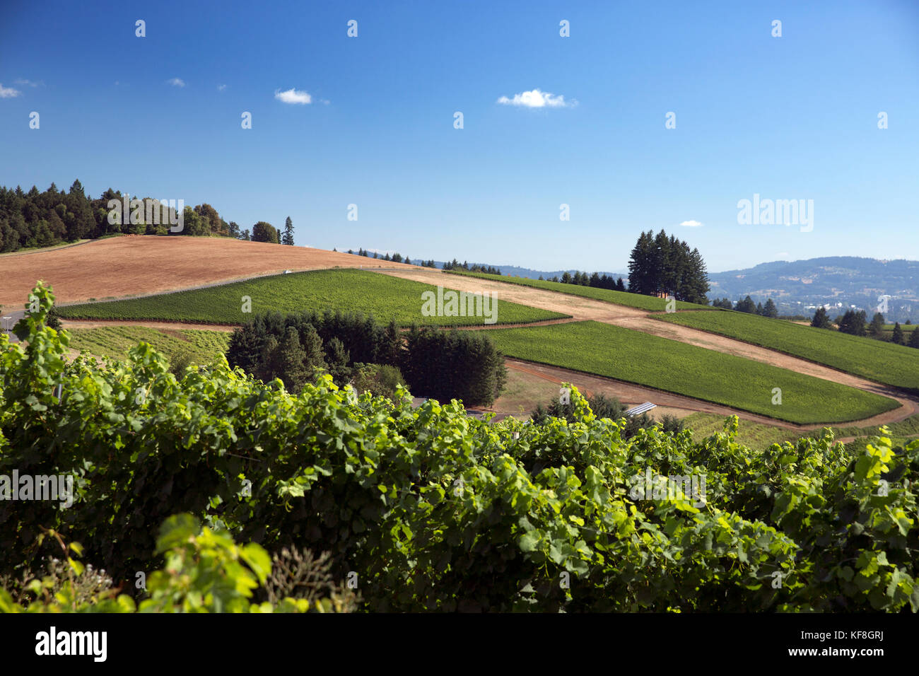 USA, Oregon, Willamette Valley, view from the top of White Rose Estate ...