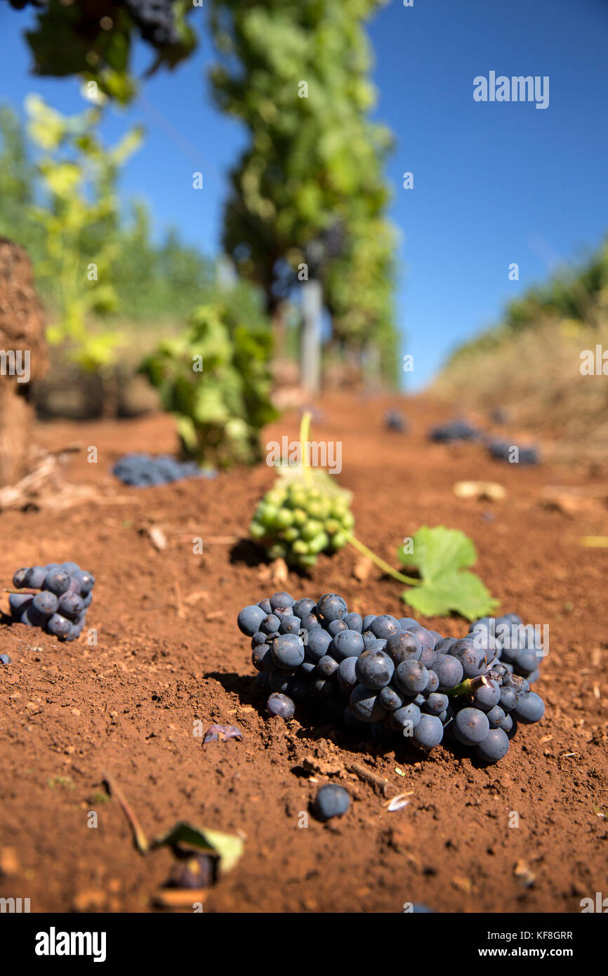 Jory soil hi-res stock photography and images - Alamy