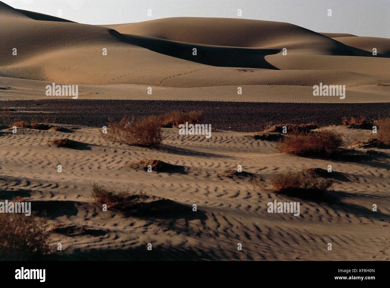 India, Rajasthan, Thar Desert Stock Photo - Alamy