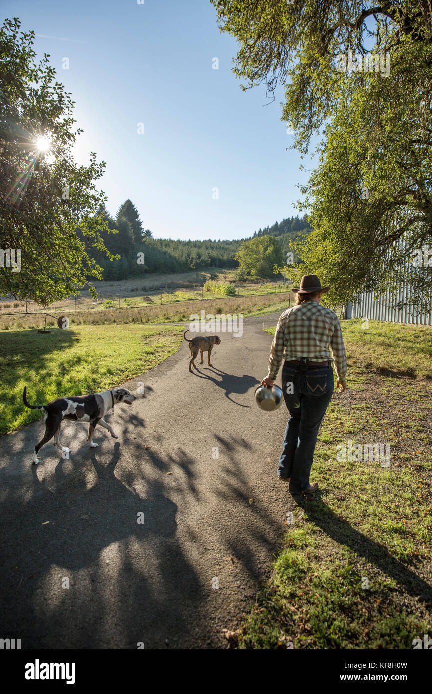 USA, Oregon, Willamette Valley, Clare Carver walks to the barn to ...