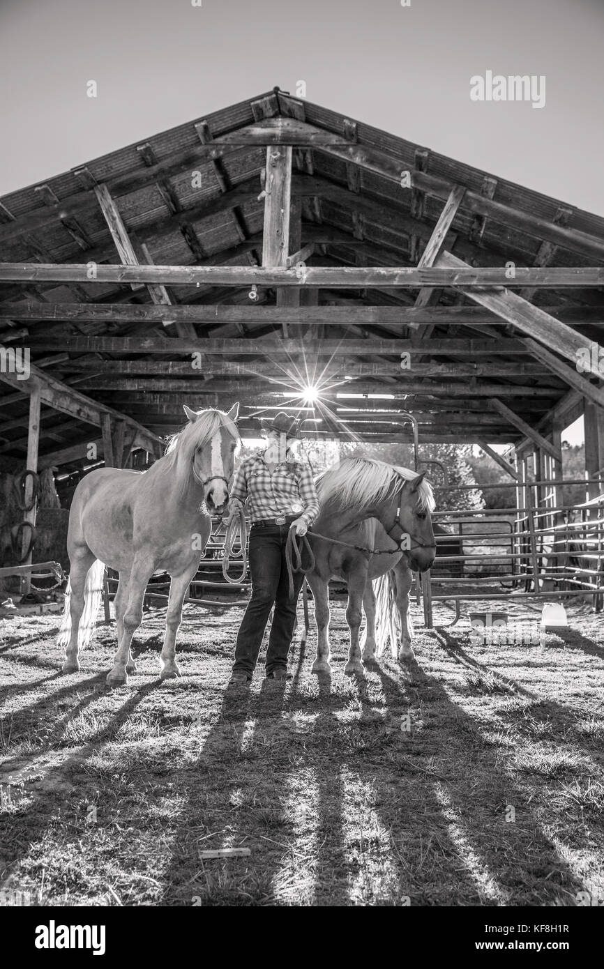 USA, Oregon, Willamette Valley, Clare Carver stands with her horses in ...