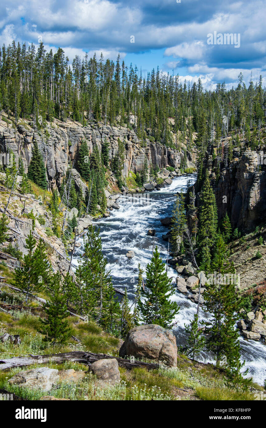 Overlook over the Lewis river, Yellowstone National Park, Wyoming, USA ...