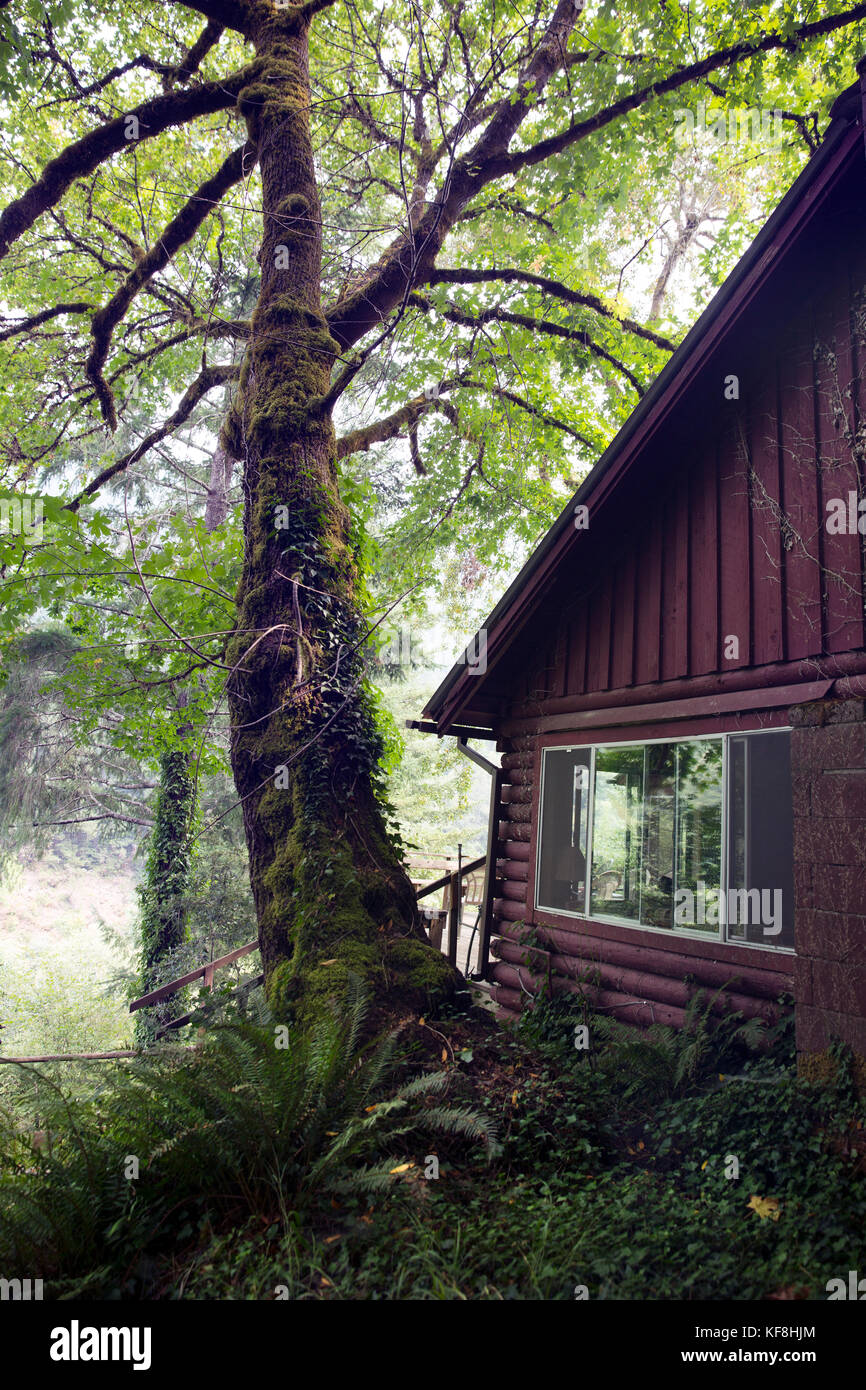 USA, Oregon, Wild and Scenic Rogue River in the Medford District ...