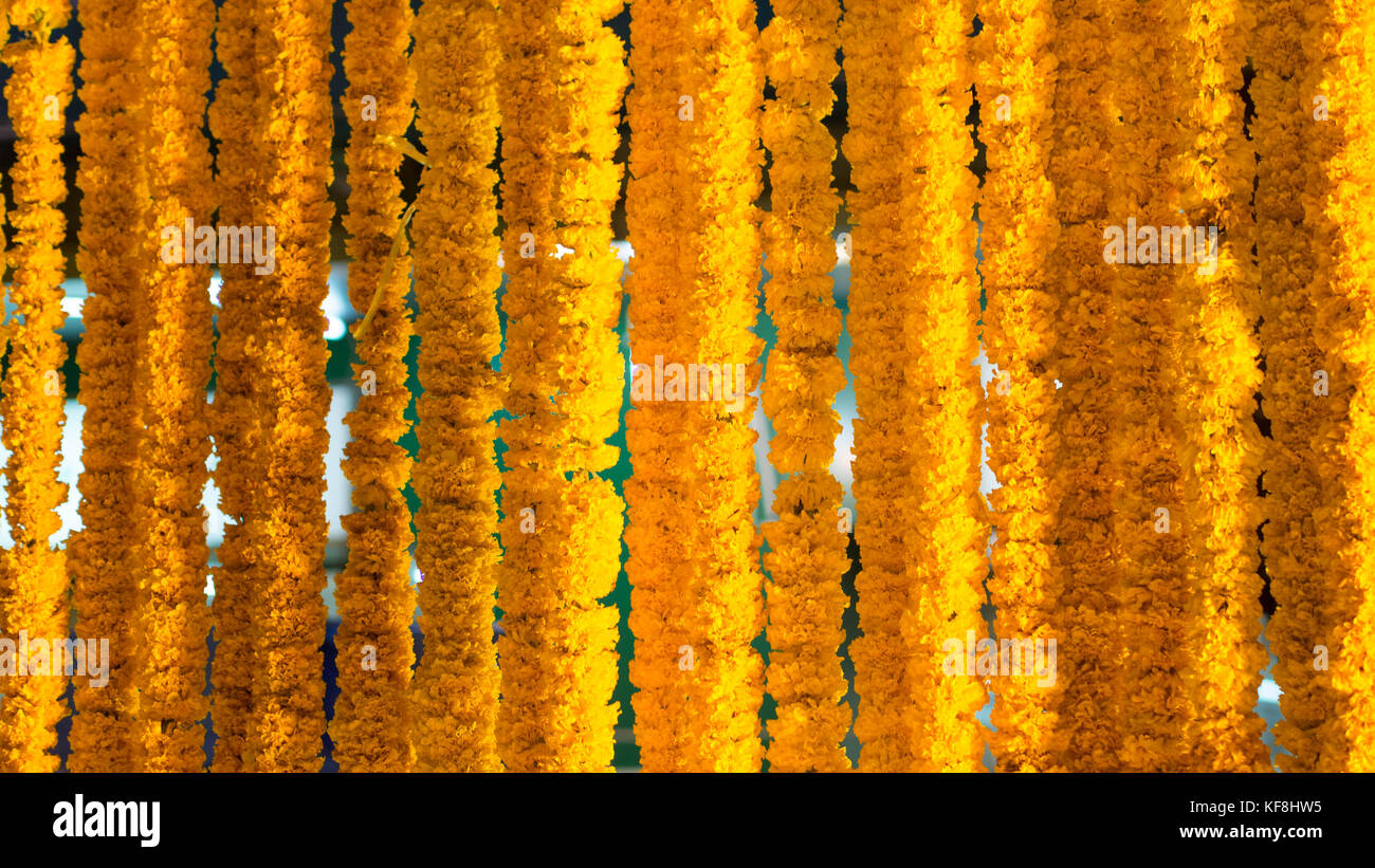 Arranged American Marigold room Stock Photo - Alamy