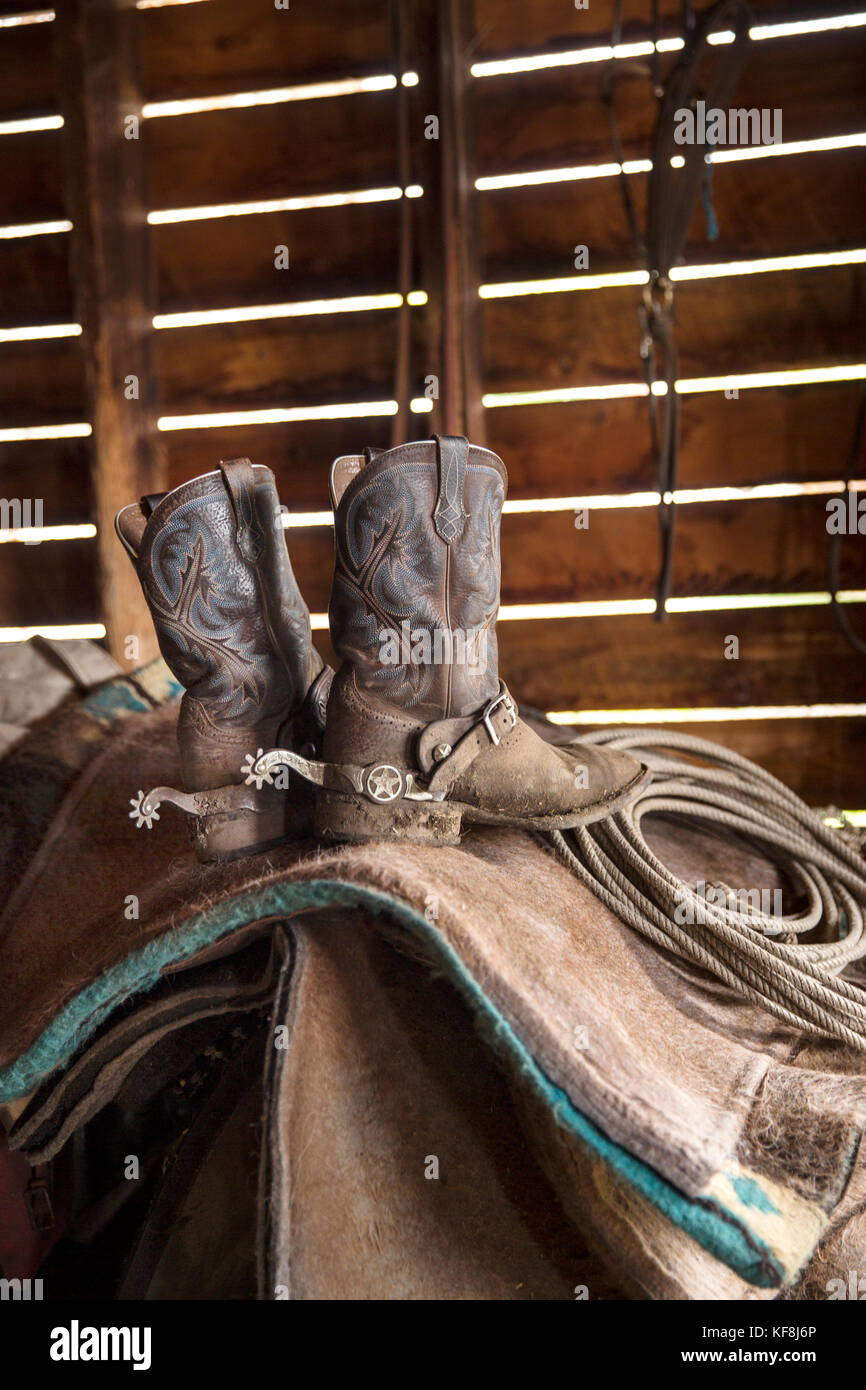 Joseph snyder hi-res stock photography and images - Alamy