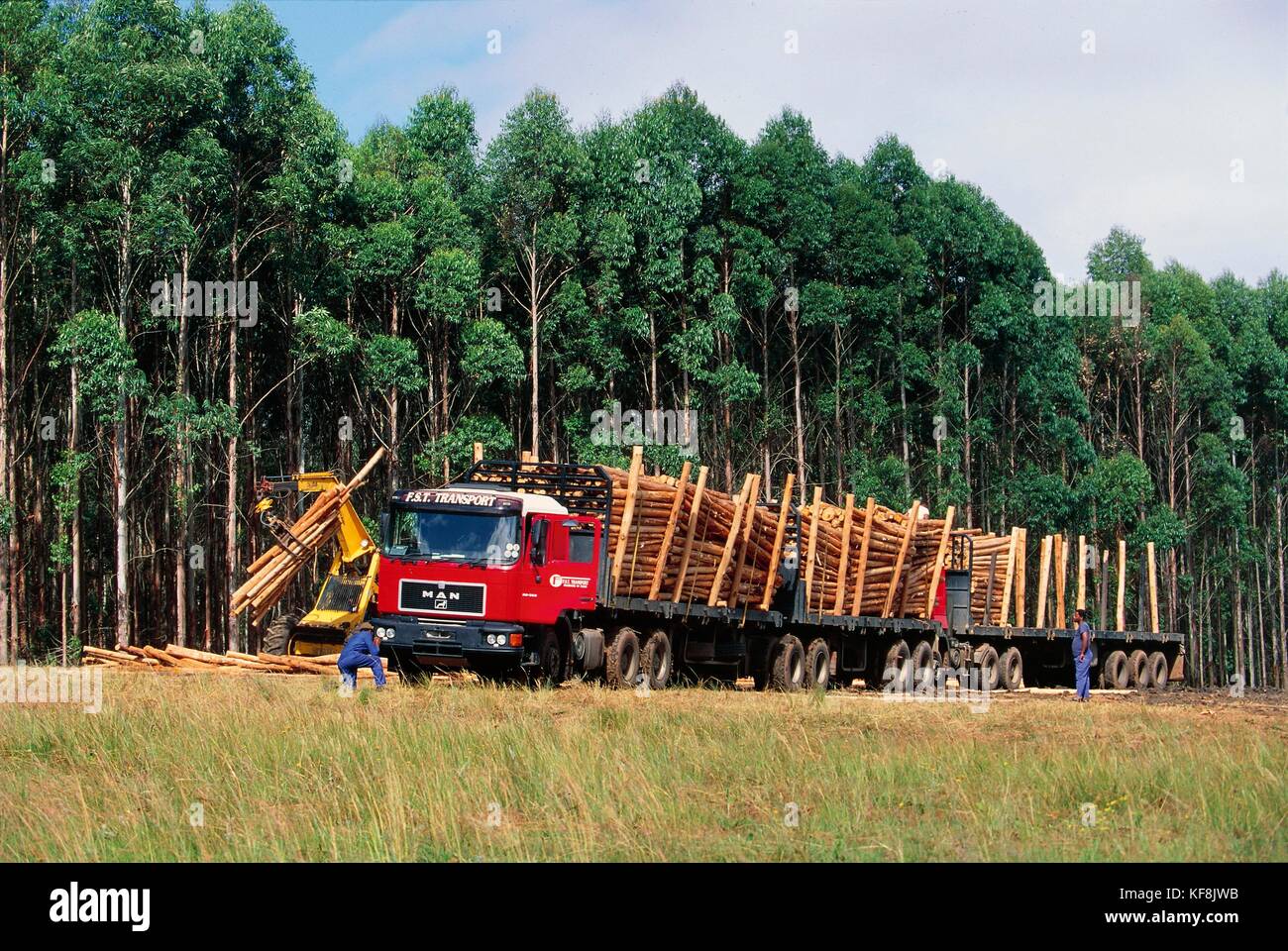 South Africa, KwaZulu-Natal. Transport timber Stock Photo - Alamy
