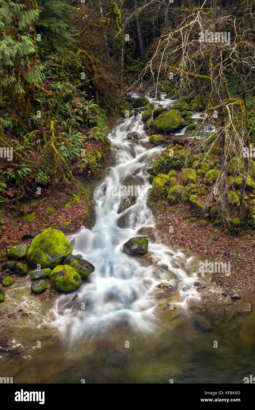 USA, Oregon, Santiam Pass, The Santiam River which is a tributary of ...