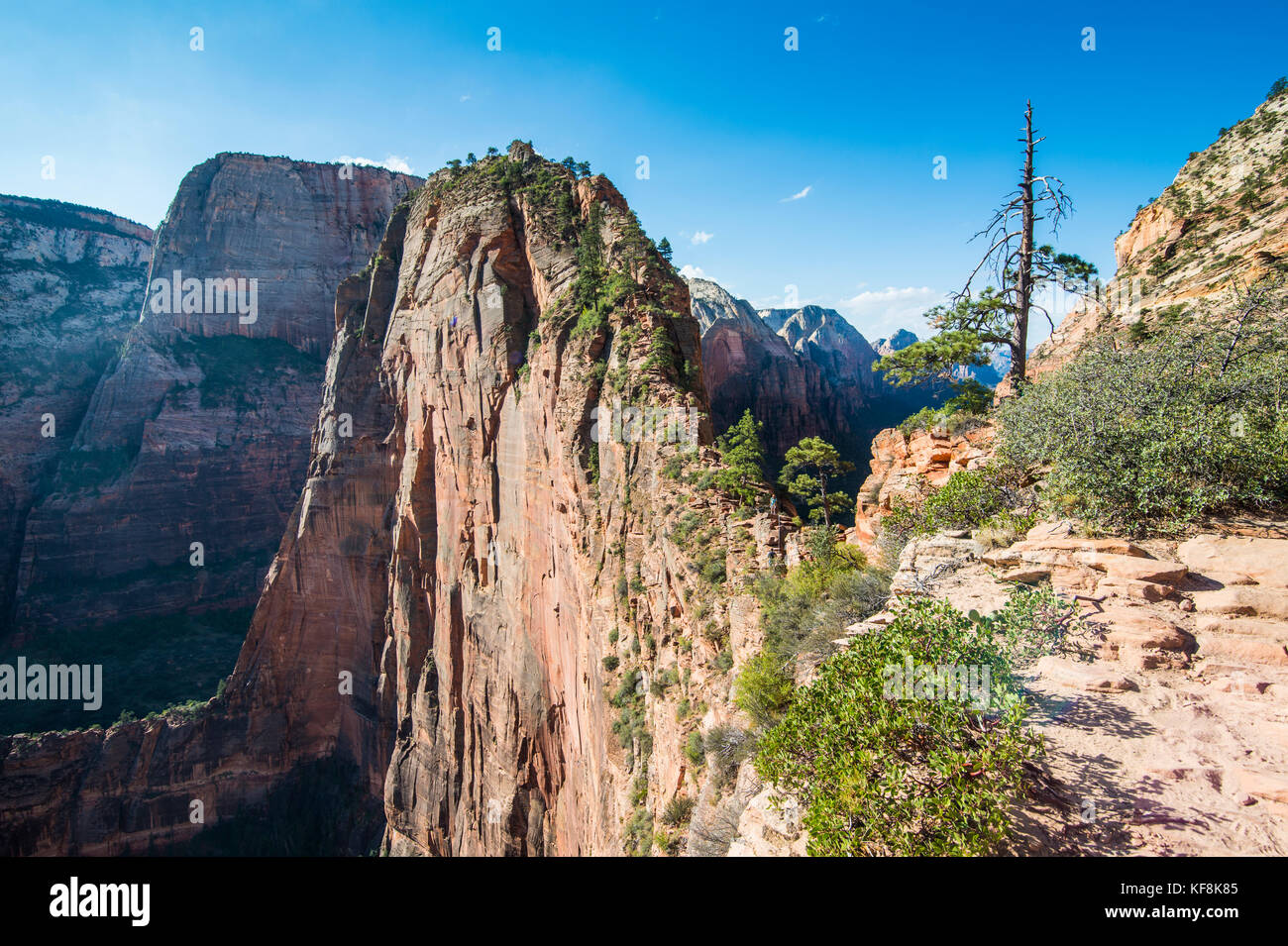 Narrow edge leading to Angel´s landing, Zion National Park, Utah, USA ...