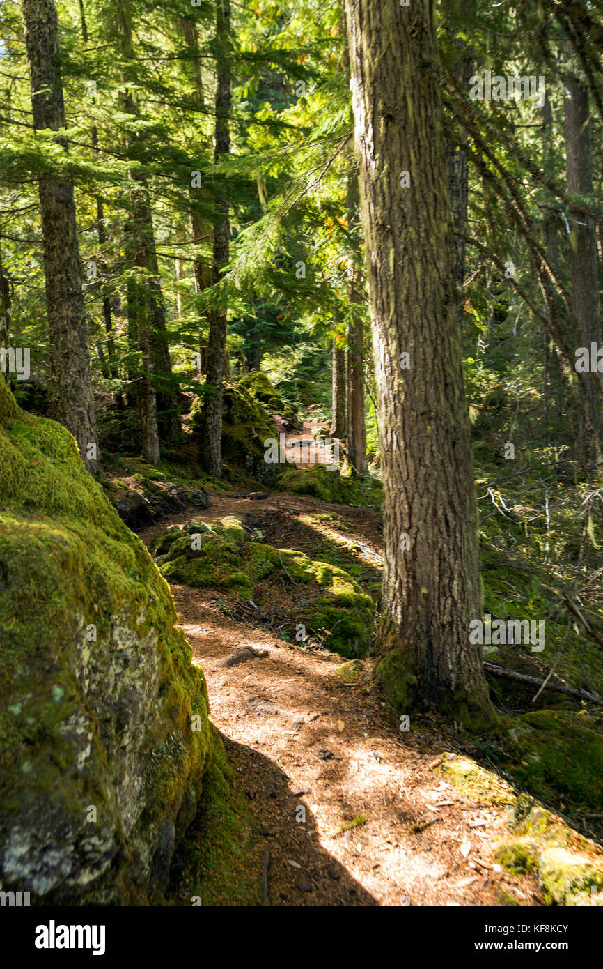 USA, Oregon, Oregon Cascades, the beautiful scenery in the Wilamette ...