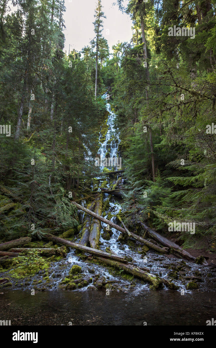 USA, Oregon, Oregon Cascades, Proxy Falls in the Wilamette National ...