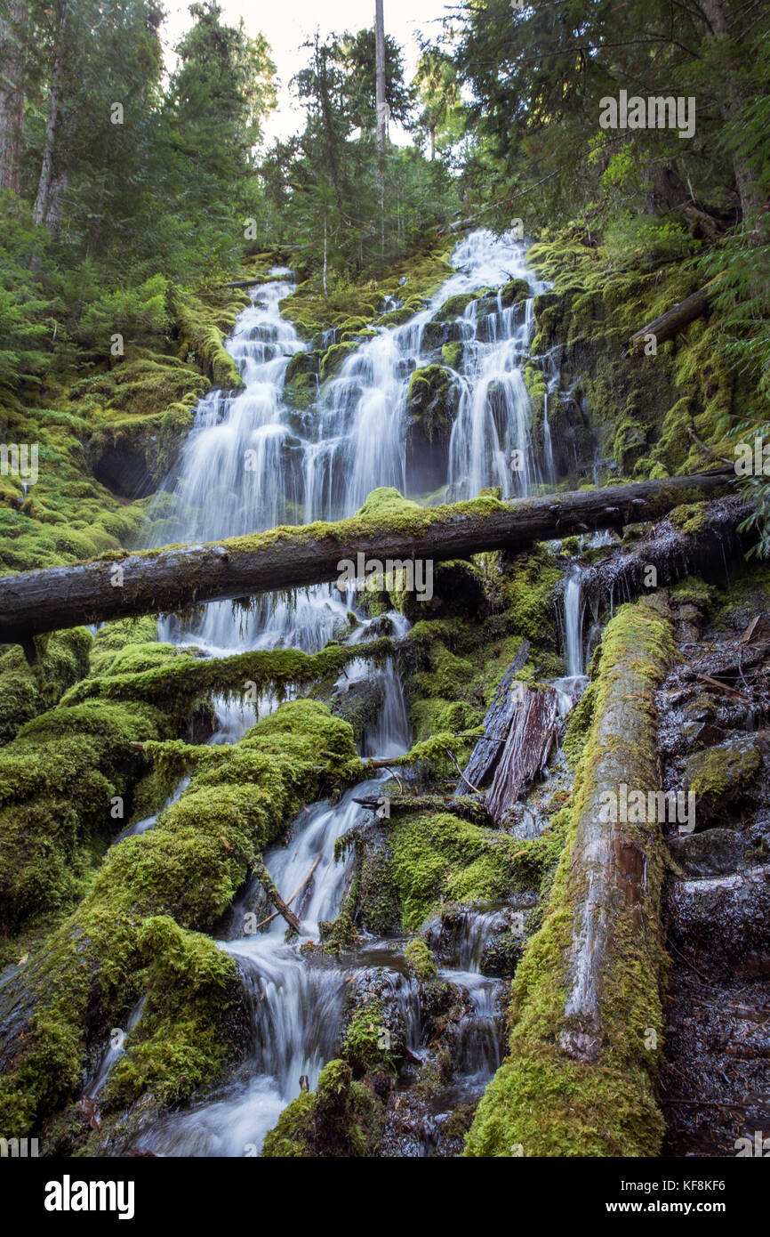 USA, Oregon, Oregon Cascades, Proxy Falls in the Wilamette National ...