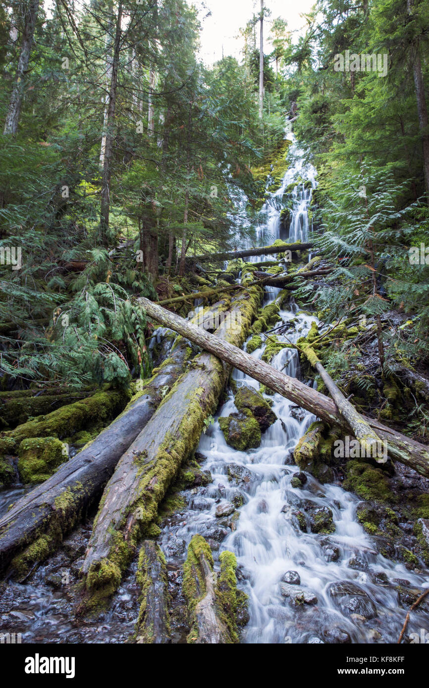 USA, Oregon, Oregon Cascades, Proxy Falls in the Wilamette National ...