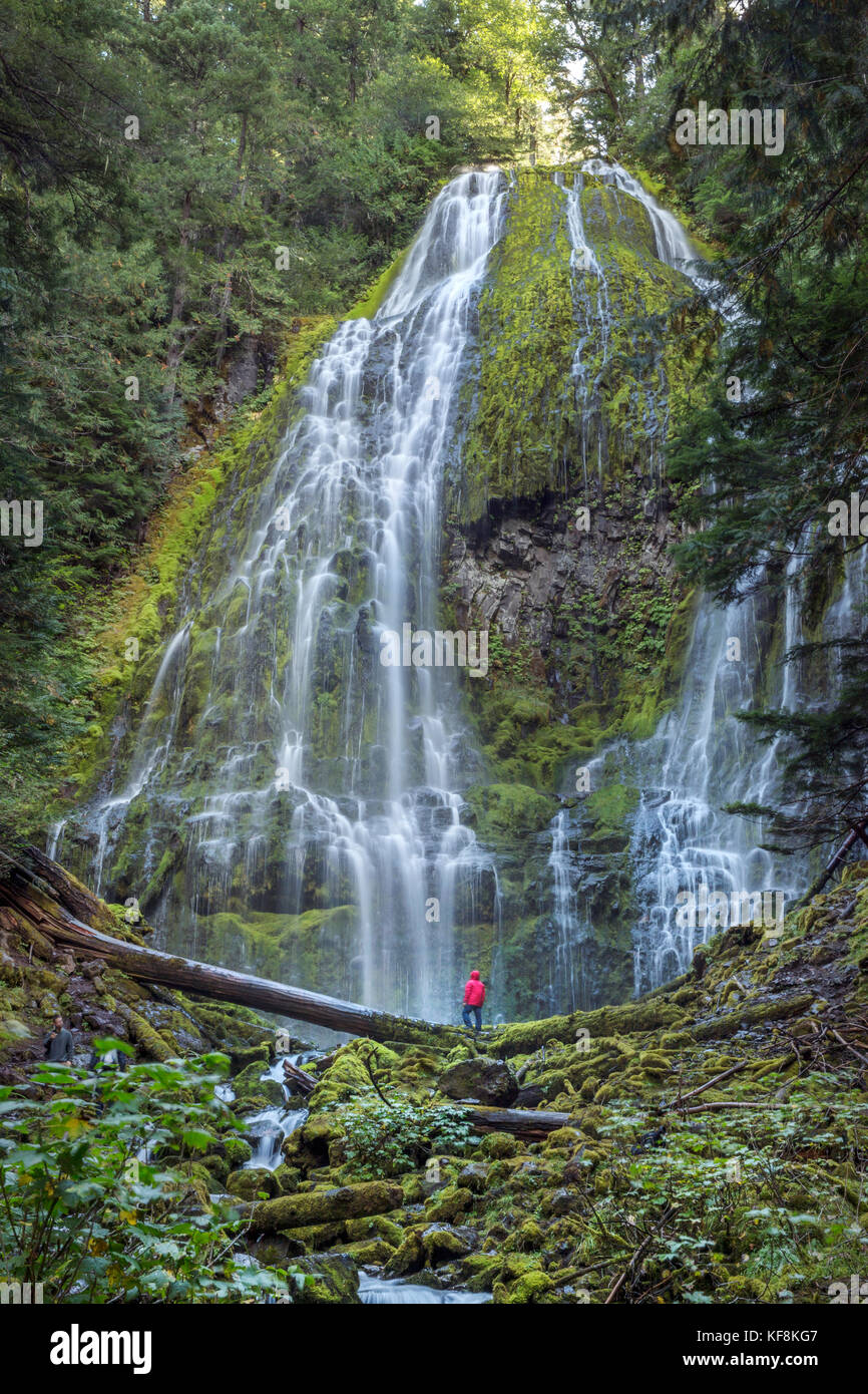 USA, Oregon, Oregon Cascades, Proxy Falls in the Wilamette National ...