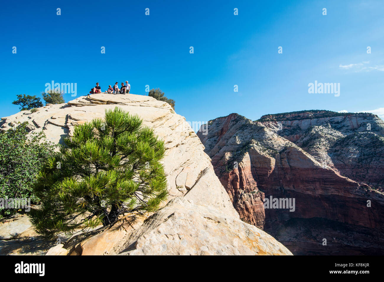 Angel´s landing, Zion National Park, Utah, USA Stock Photo - Alamy