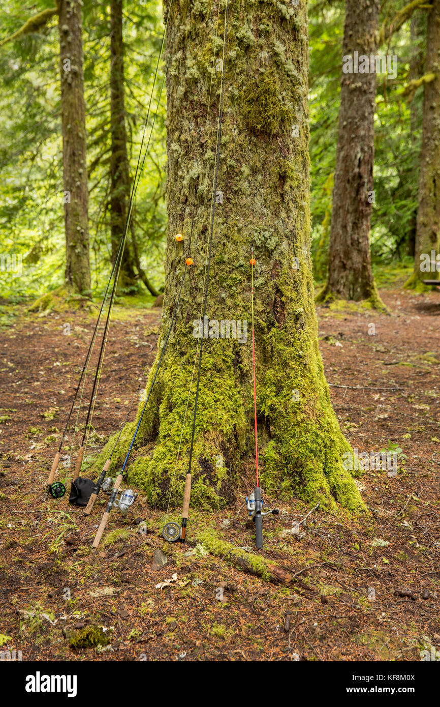 USA, Oregon, Santiam River, Brown Cannon, fishing poles rested against ...