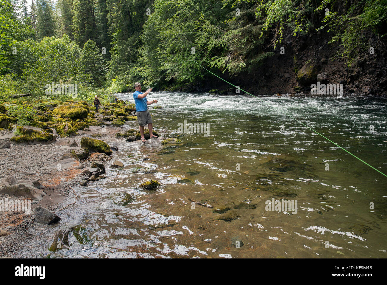USA, Oregon, Santiam River, Brown Cannon, a man fishing along the ...