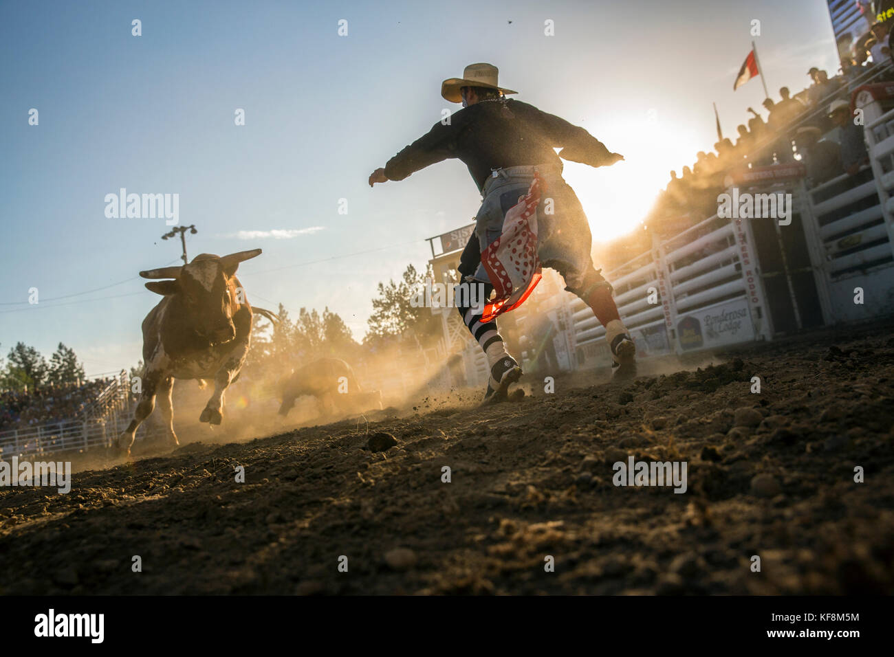 Full length sport 2000 hi-res stock photography and images - Alamy