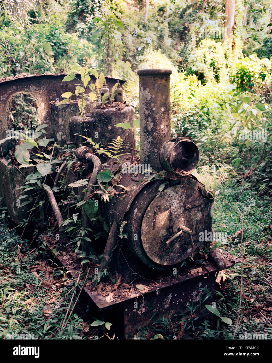 PANAMA, Cana, an old gold mine steam engine has become part of the ...